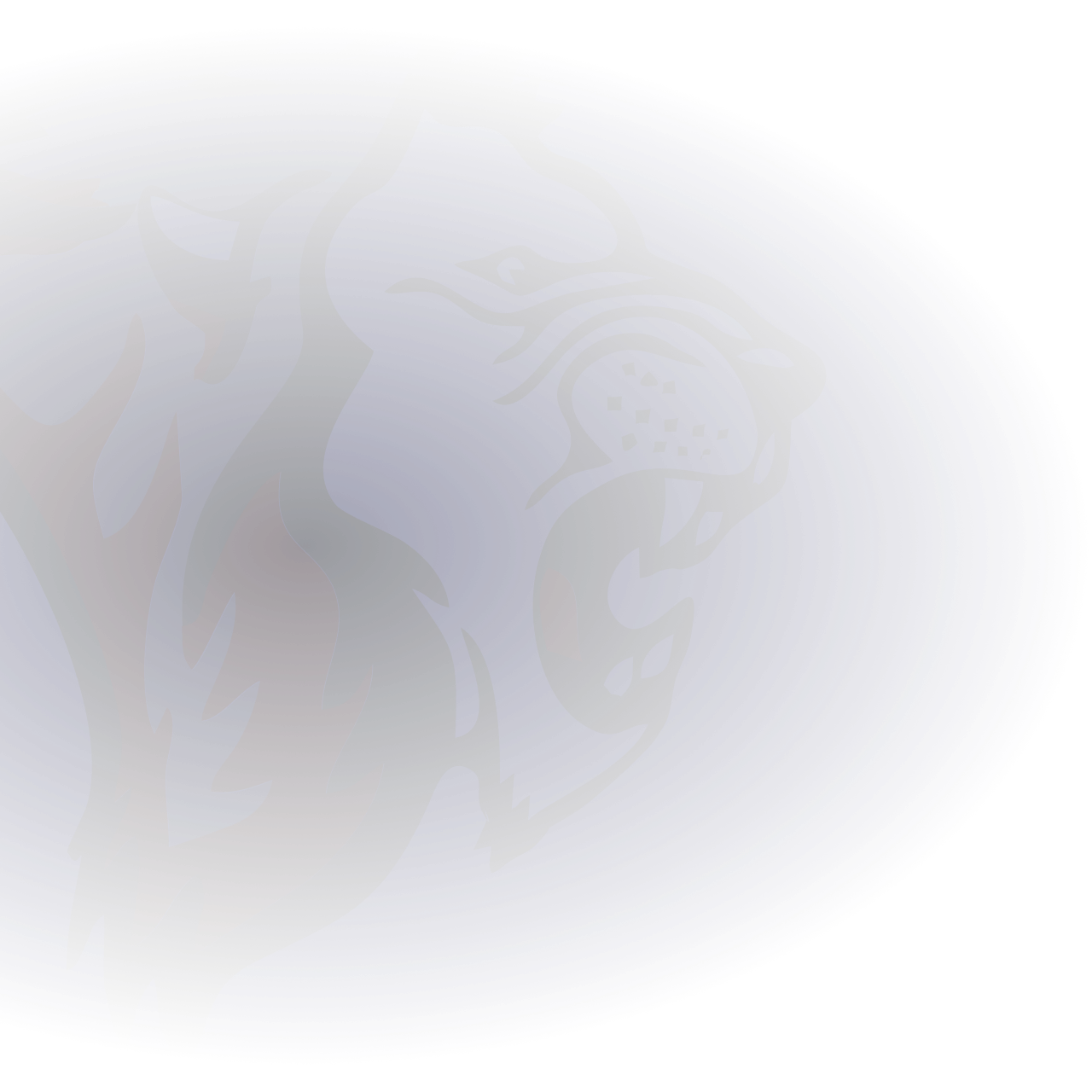 Official AFL Website of the Sydney Swans Football Club. All the latest ...